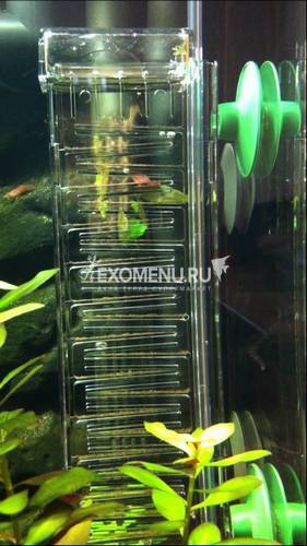 СО2-реактор Dennerle Mini-Flipper купить по выгодной цене в интернет ...